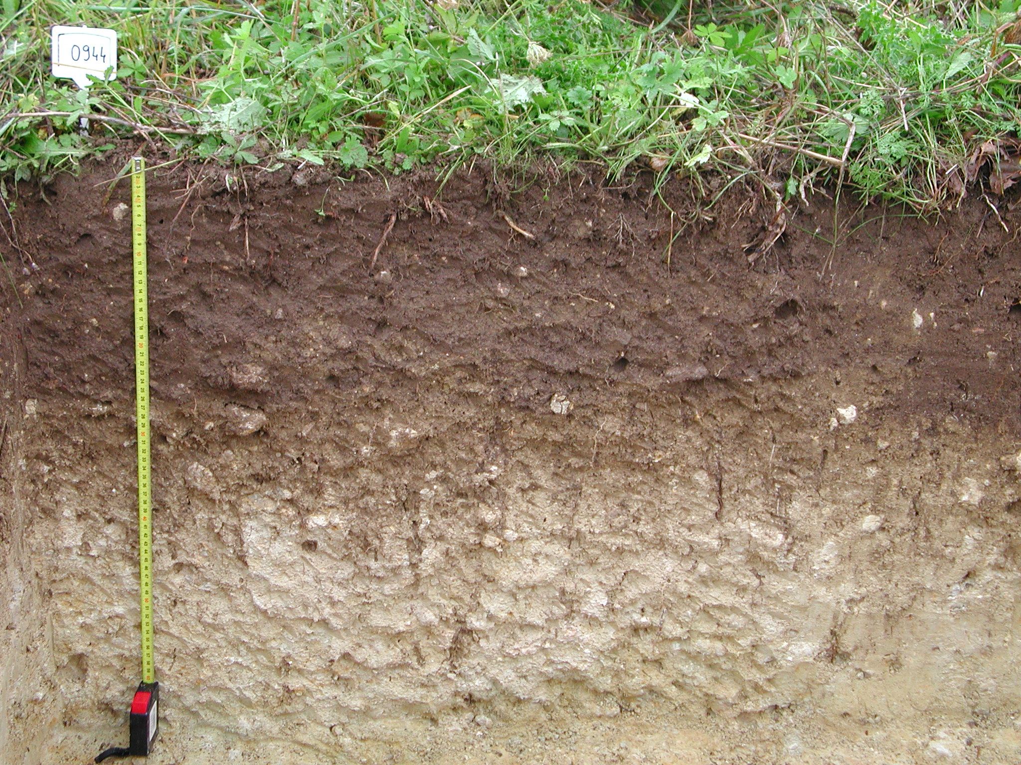 Storing 4 per 1000 carbon in soils: the potential in France | INRAE