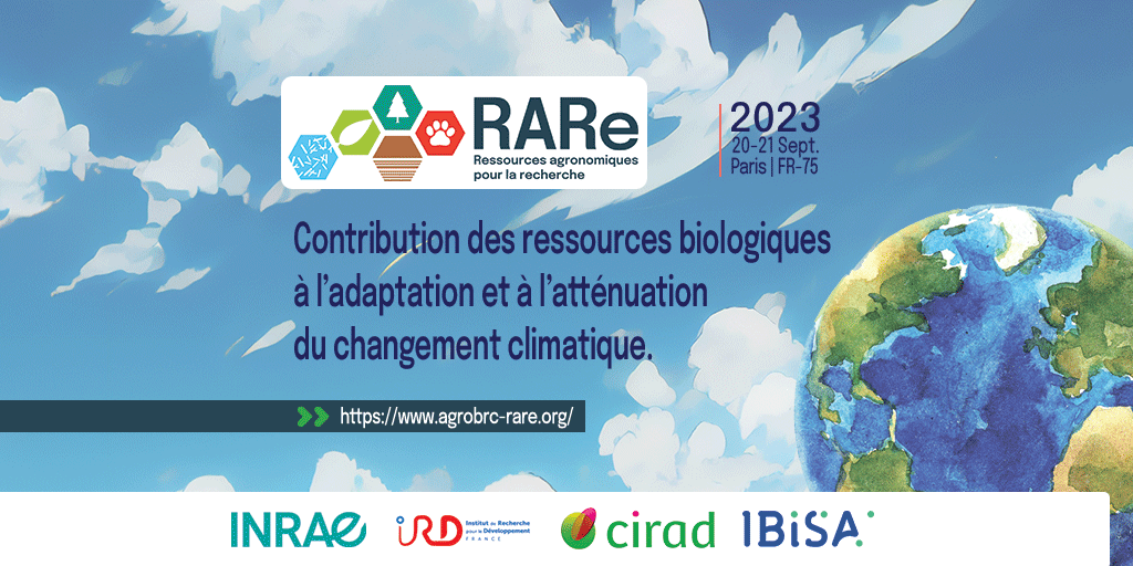 Séminaire scientifique RARe | INRAE
