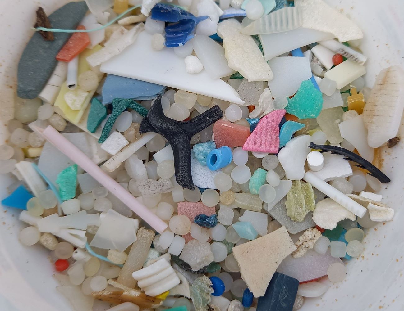 Ecotoxicology: identifying the impacts of (chemical) contaminants in ...