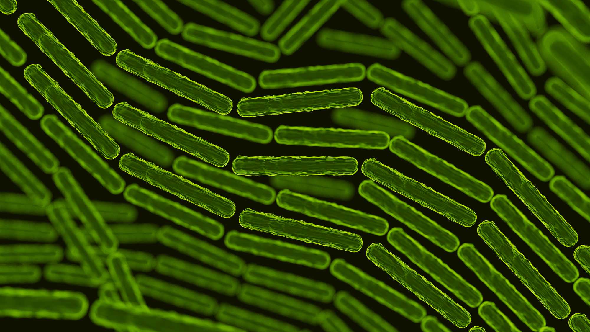 New international microbiome observatory will promote global health | INRAE