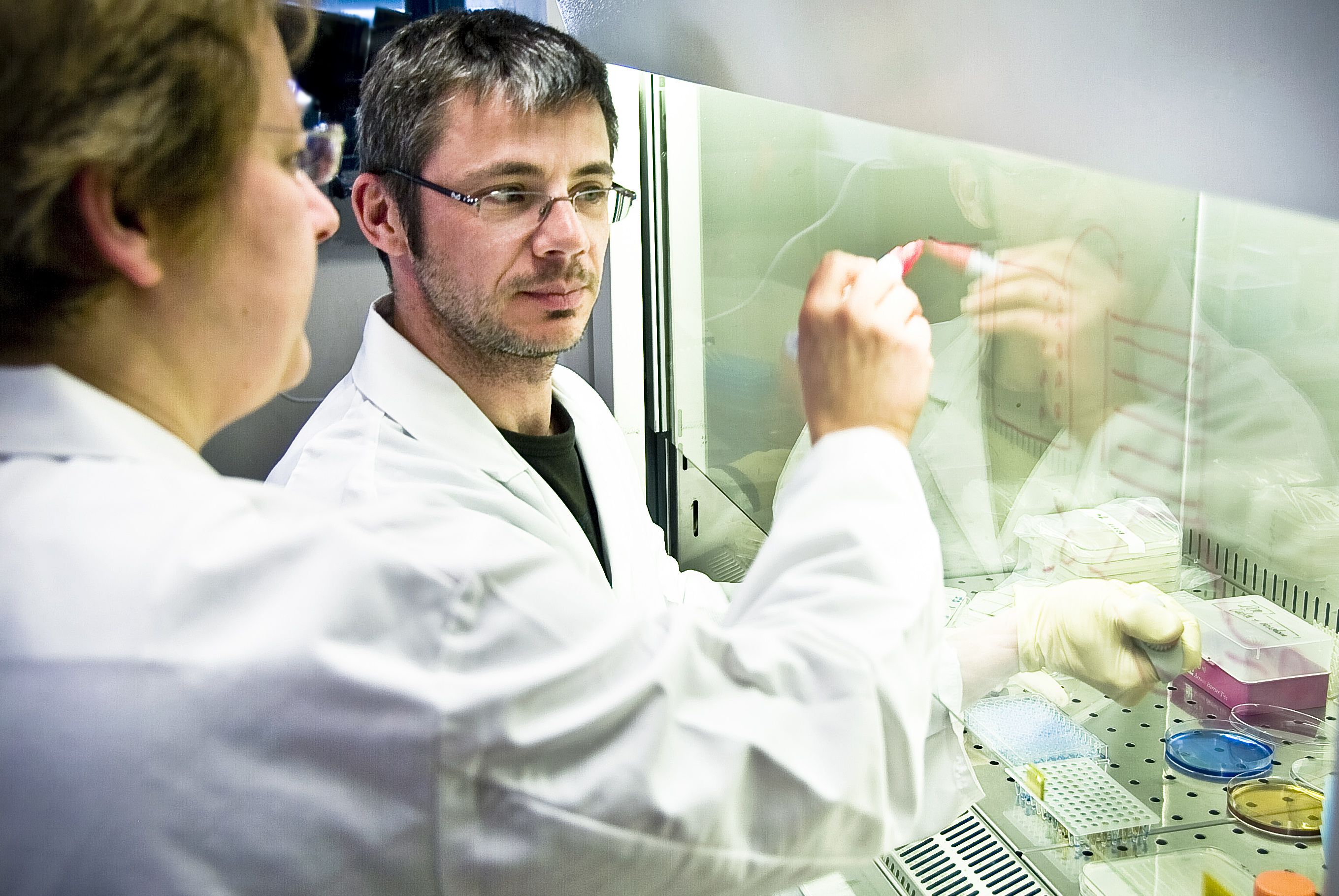 INRAE contribue au plan de préservation de l’emploi de France Relance ...