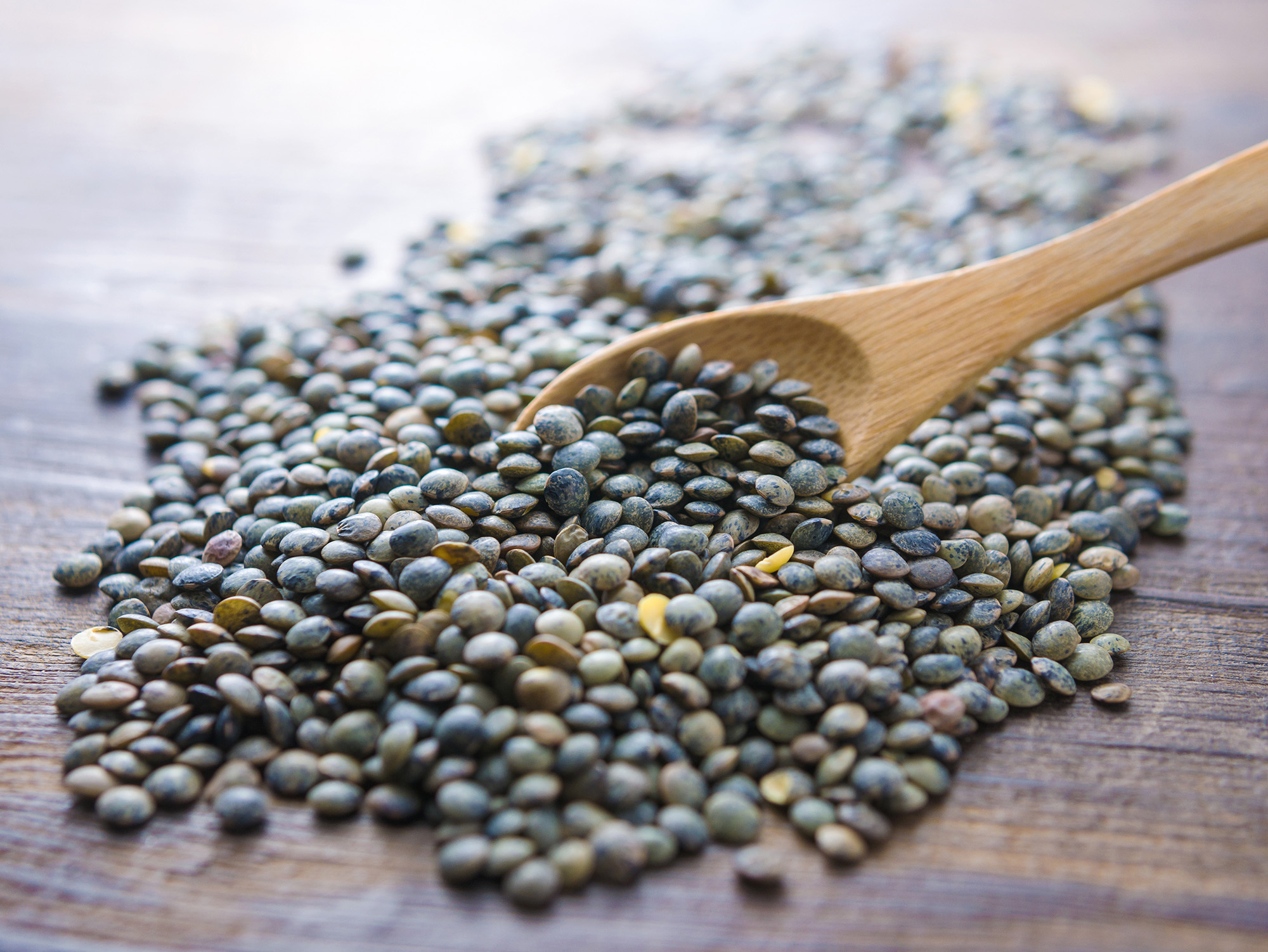 Projet LENTILS de recherche participative sur l’effet des conditions ...