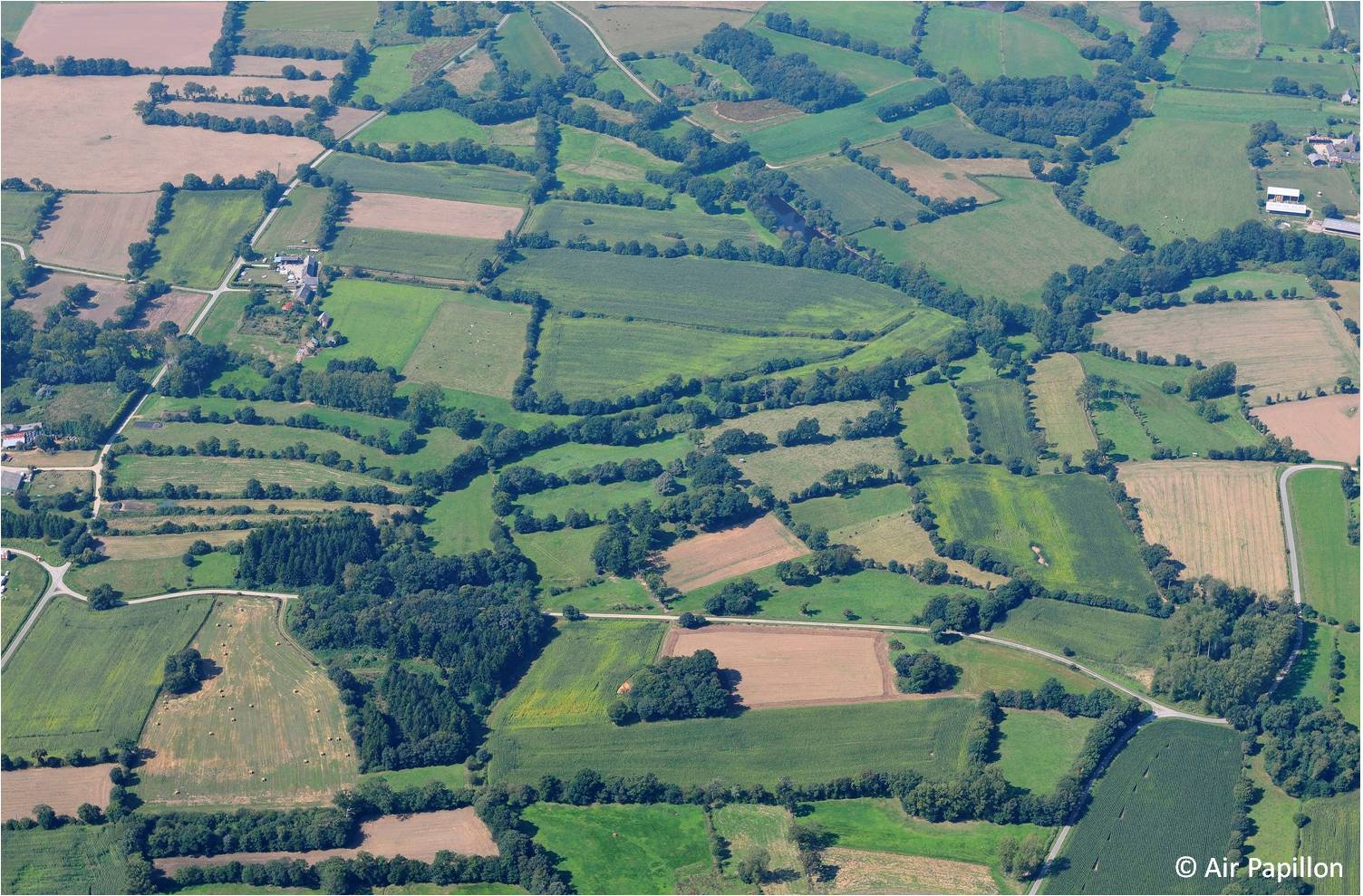 Des parcelles plus petites et plus diversifiées favorisent la diversité ...