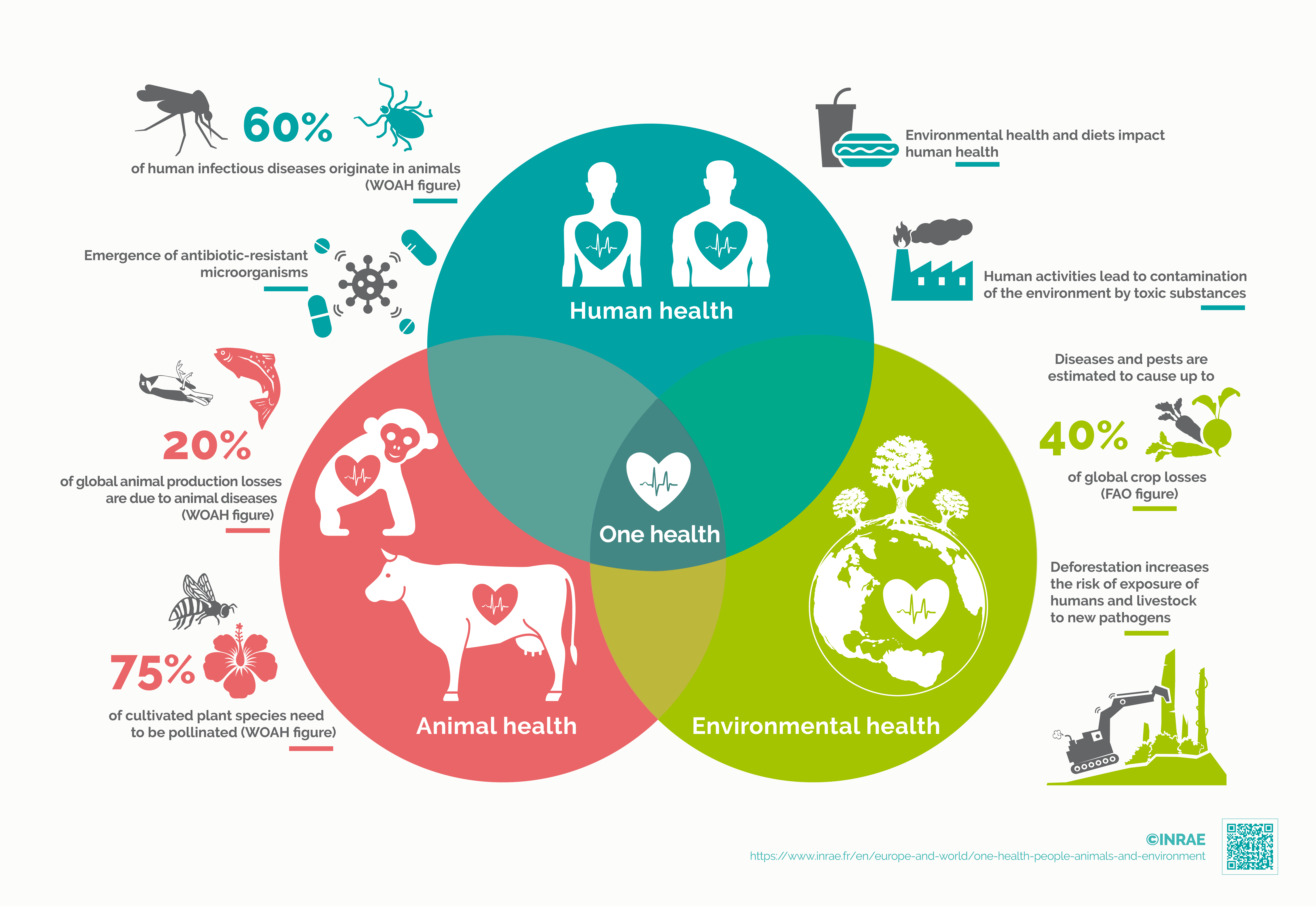 One health for people, animals and environment | INRAE