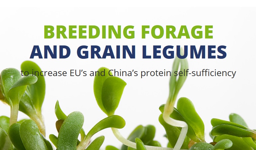 Breeding forage and grain legumes to increase EU's and Chaina's protein ...