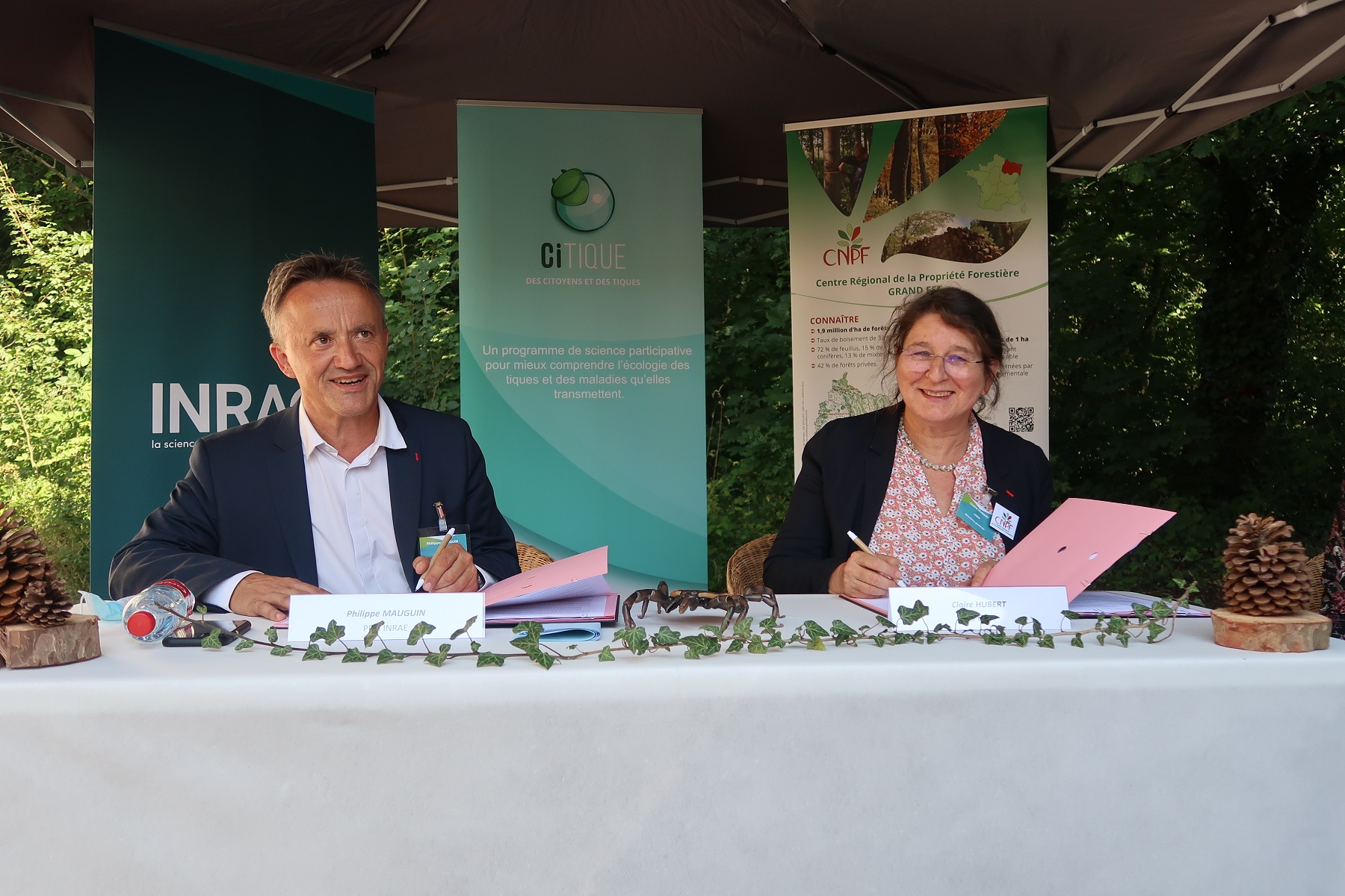 INRAE et le CNPF s’engagent dans un partenariat autour du programme CiTIQUE | INRAE