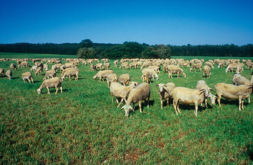 Un partenariat unique pour accompagner la transition agroécologique des ...