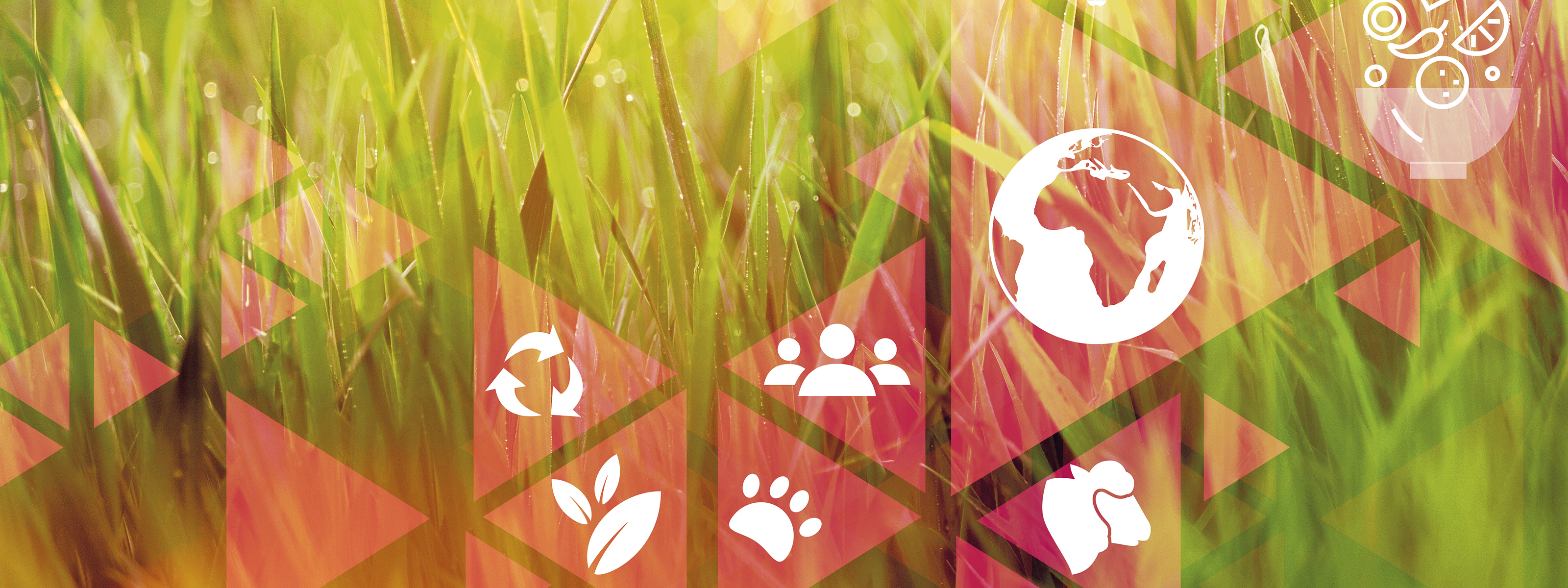 One Health, une seule santé | INRAE