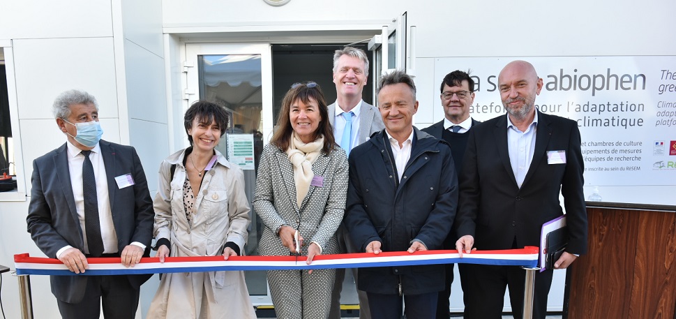 Conserving agrobiodiversity to adapt crops to climate change ...