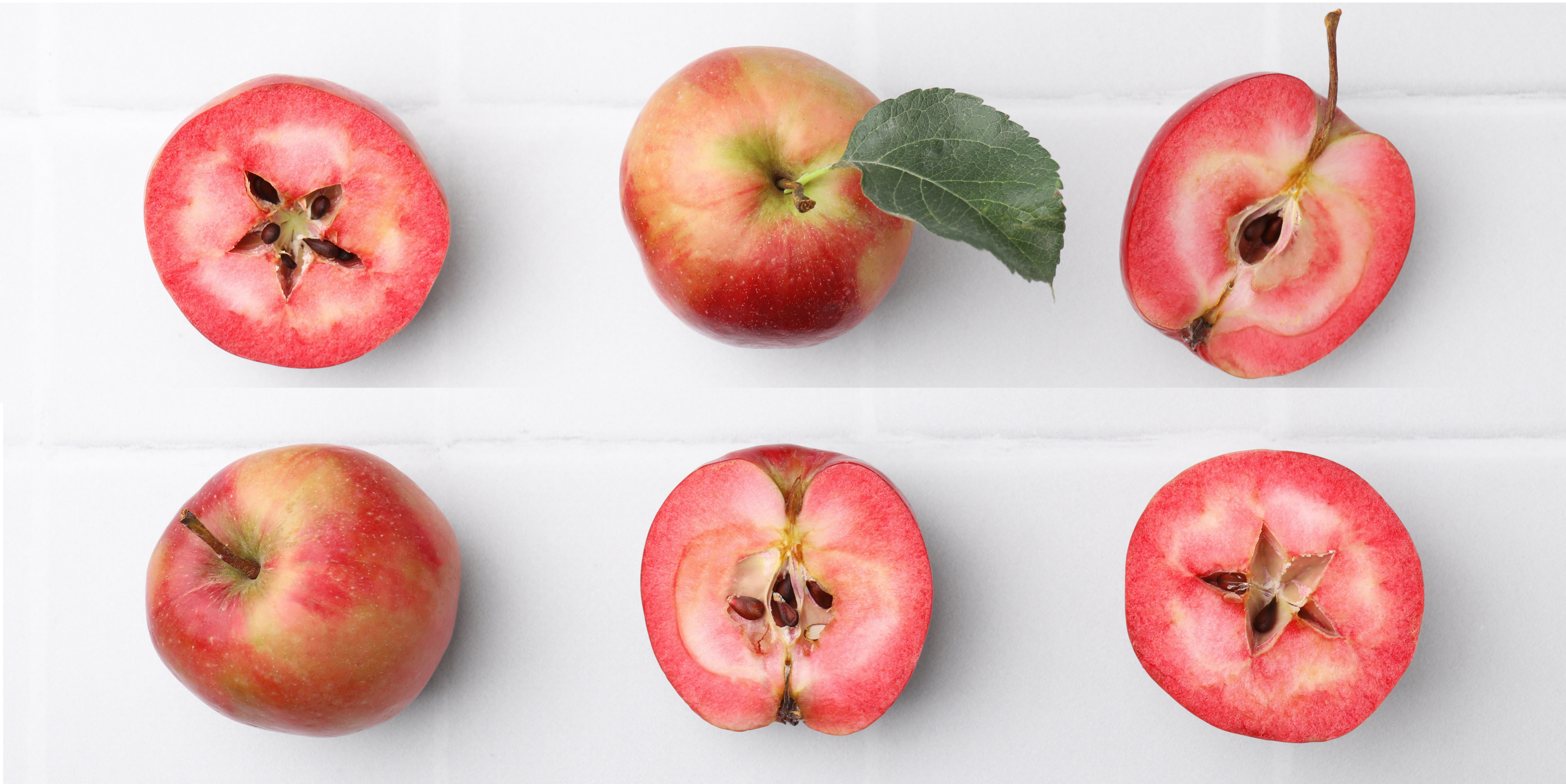 Quand la pomme voit rouge : la science au service de la couleur chez ...