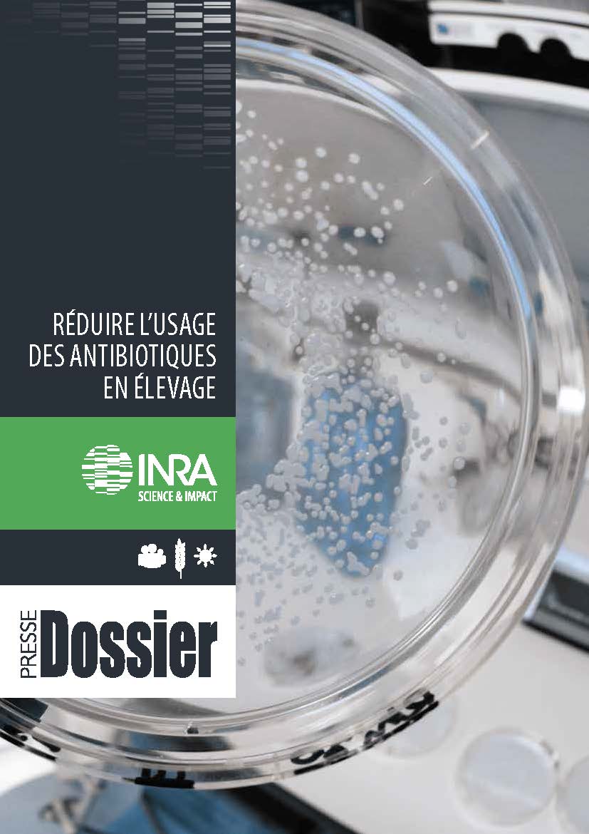 Reducing antibiotic use in the livestock industry: an update on INRA ...