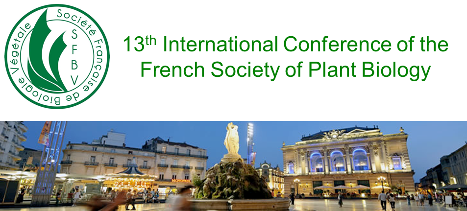 13e colloque International de la SFBV | INRAE
