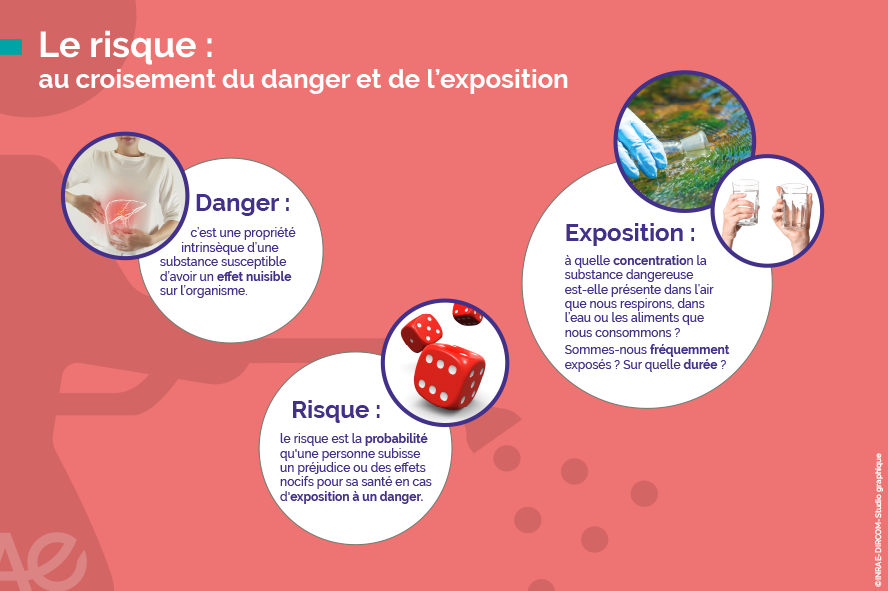 Utilisation, risques, toxicité, pharmacovigilance | INRAE