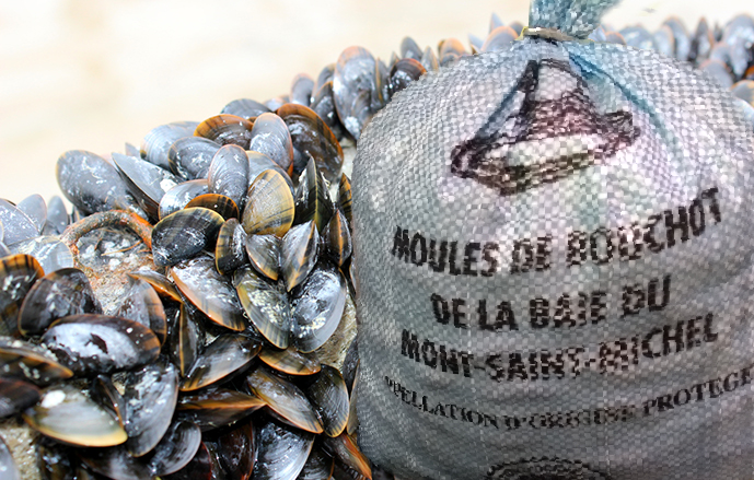 Production des moules de bouchot : quel impact sur l’environnement ...