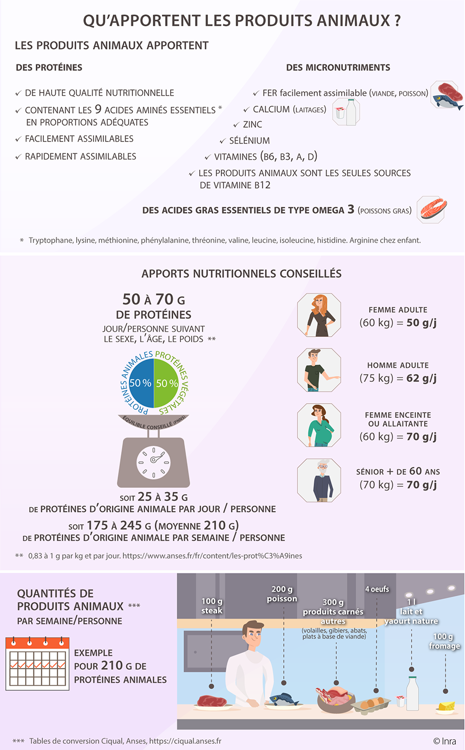 [Infographie] Qu'apportent les produits animaux ? | INRAE INSTIT