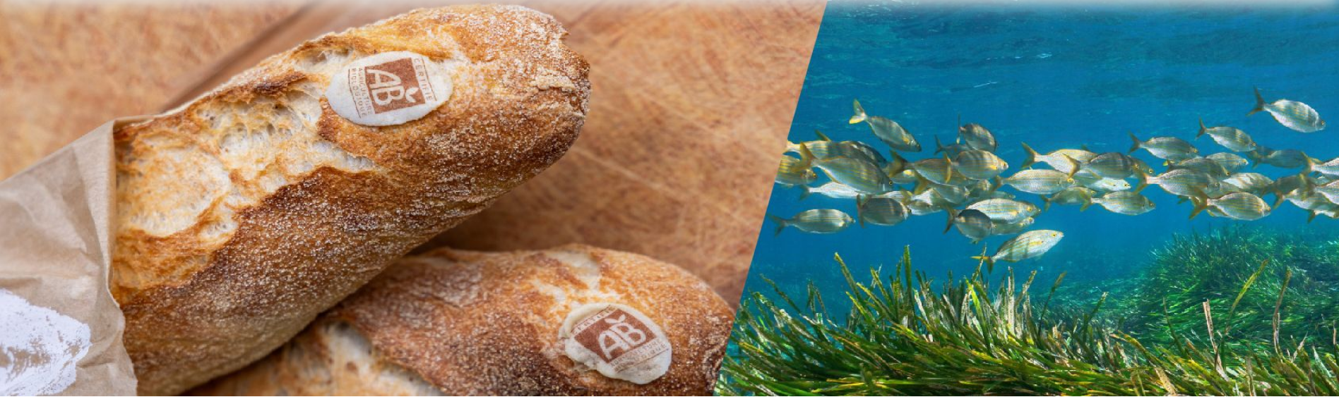 Impact des modes de production sur la biodiversité. Eclairages | INRAE