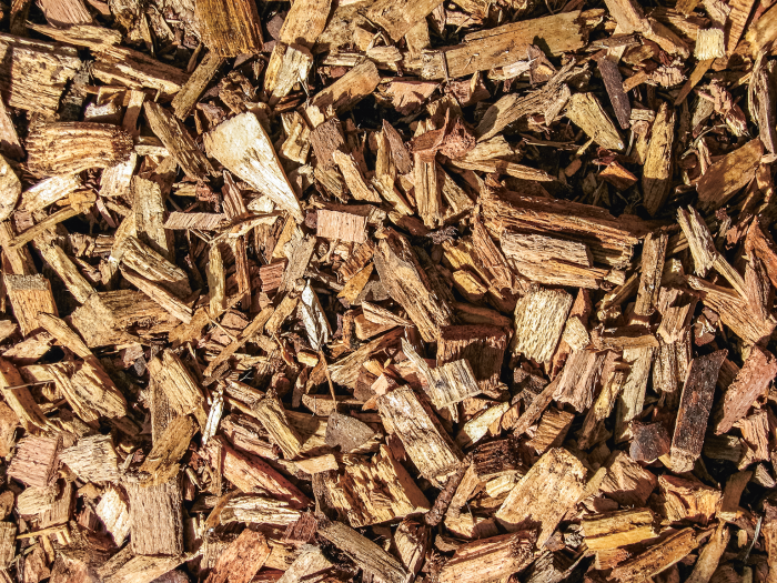 Un guide de bonnes pratiques pour prélever le bois | INRAE