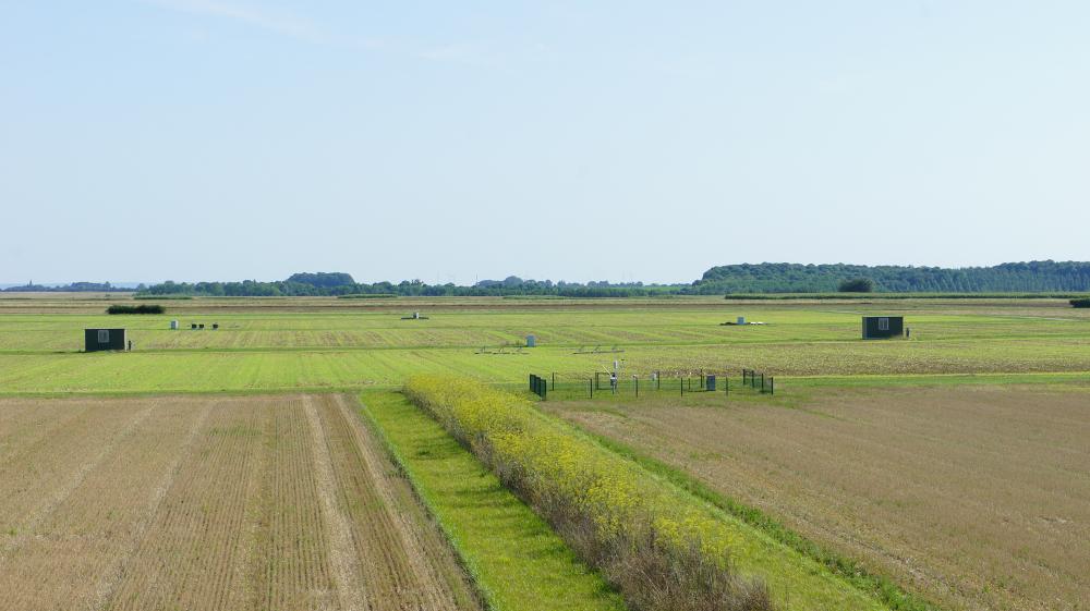 Centre INRAE Hauts-de-France | INRAE